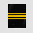 Poster - Wall Art Print - Pilot Rank