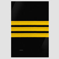 Poster - Wall Art Print - Pilot Rank