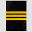 Poster - Wall Art Print - Pilot Rank