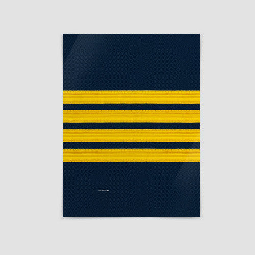 Poster - Wall Art Print - Pilot Rank